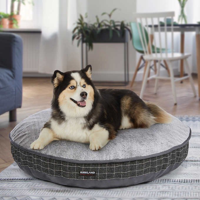 Kirkland Signature 42 Round Dog Bed Reviews Fresh Chalk